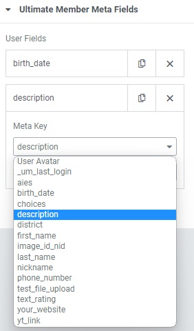 Elementor Widgets for Ultimate Member - User Elements